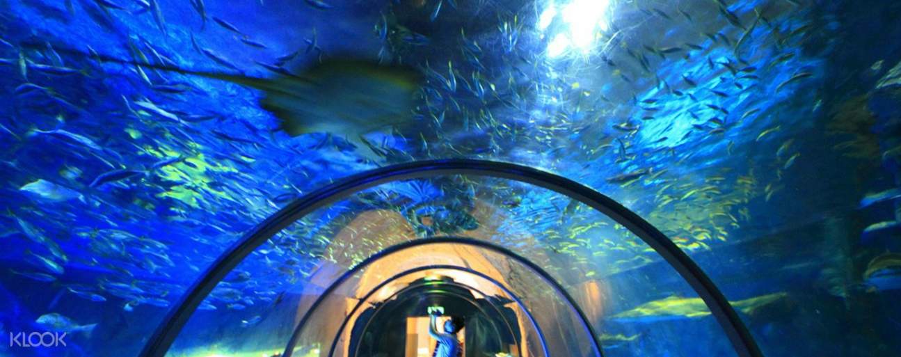 Up to 15% Off | Noboribetsu Marine Park NIXE Admission Ticket in ...